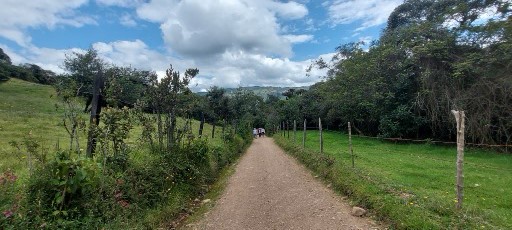 Caminata: Tesoros naturales por descubrir