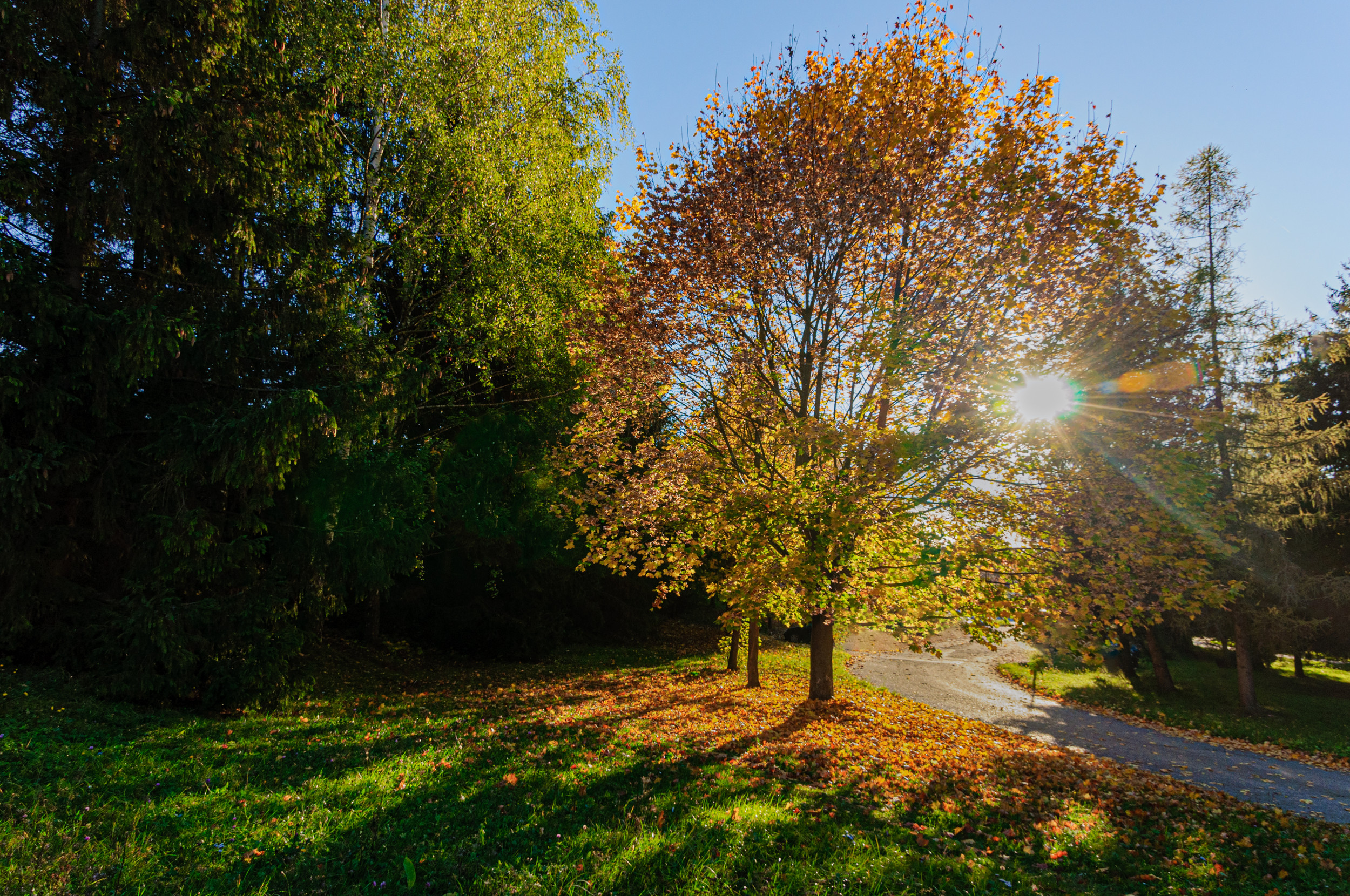 fotim-pre-radost | príroda