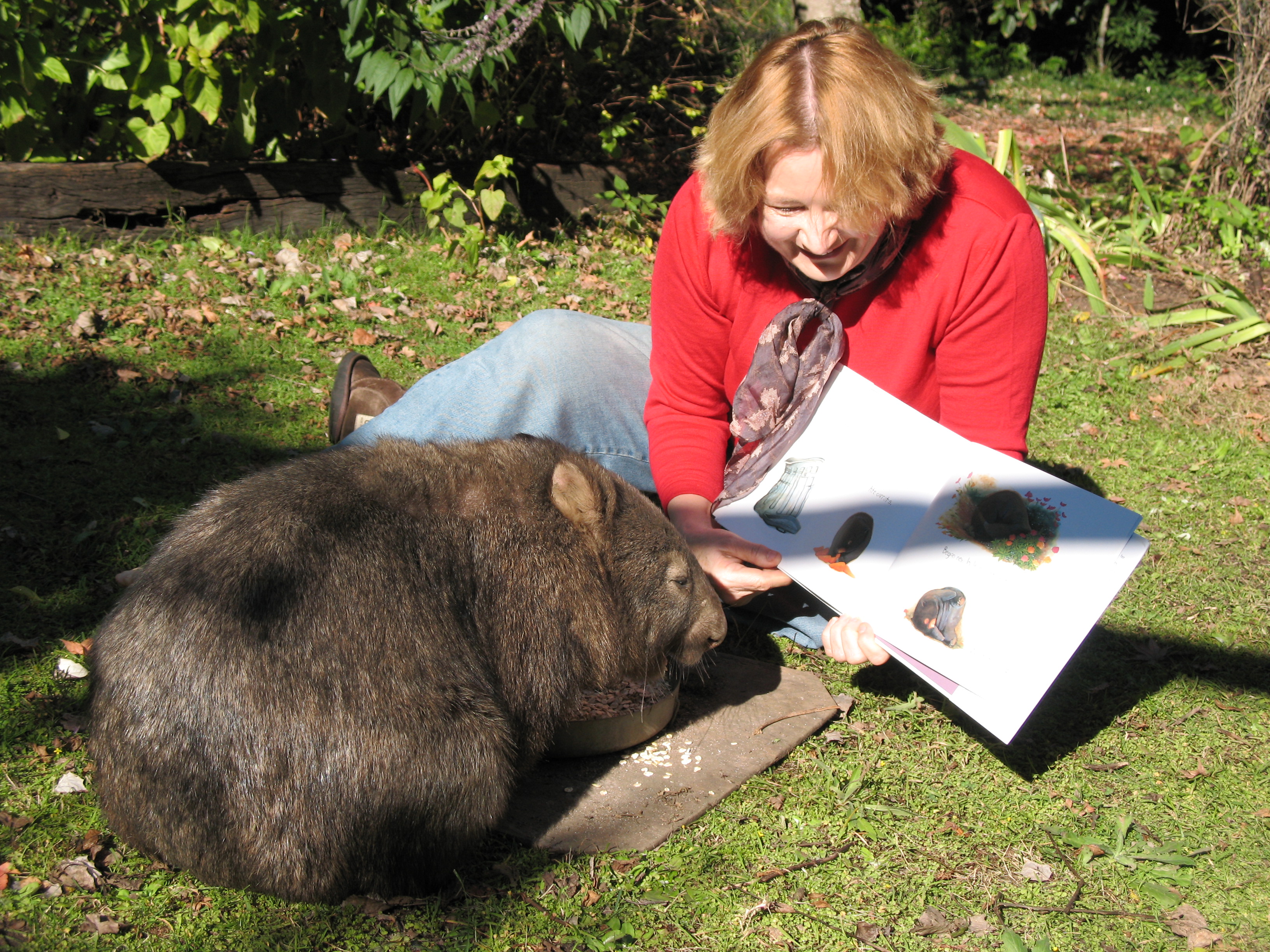 Wombats and Wildlife | jackie-french