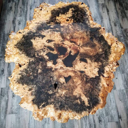 California Buckeye Burl Coffee Table | Arisan Woods