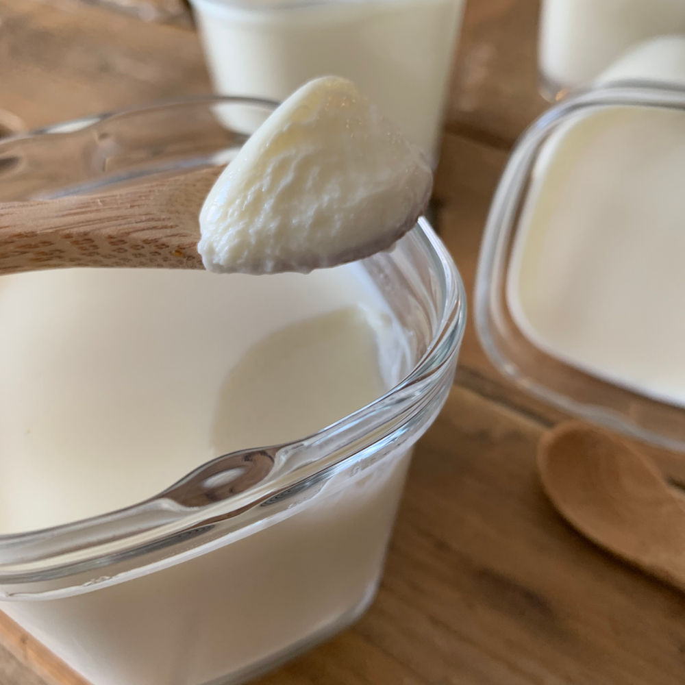 Yaourt au lait concentré sucré