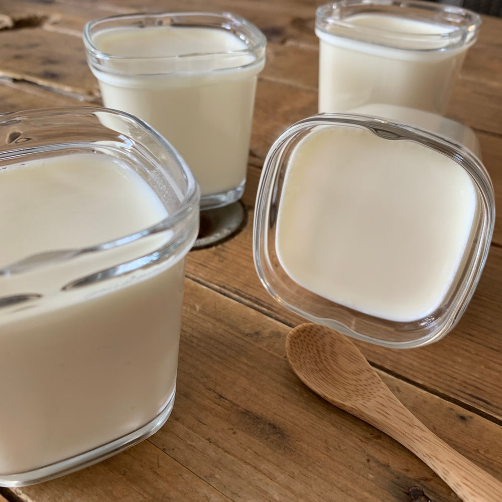 Yaourt au lait concentré sucré