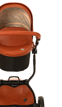 Ella Baby Strollers | Luxurious & Affordable