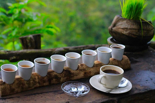 Experiences | Avana Bali