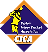 Masters World Series | Indoor Cricket