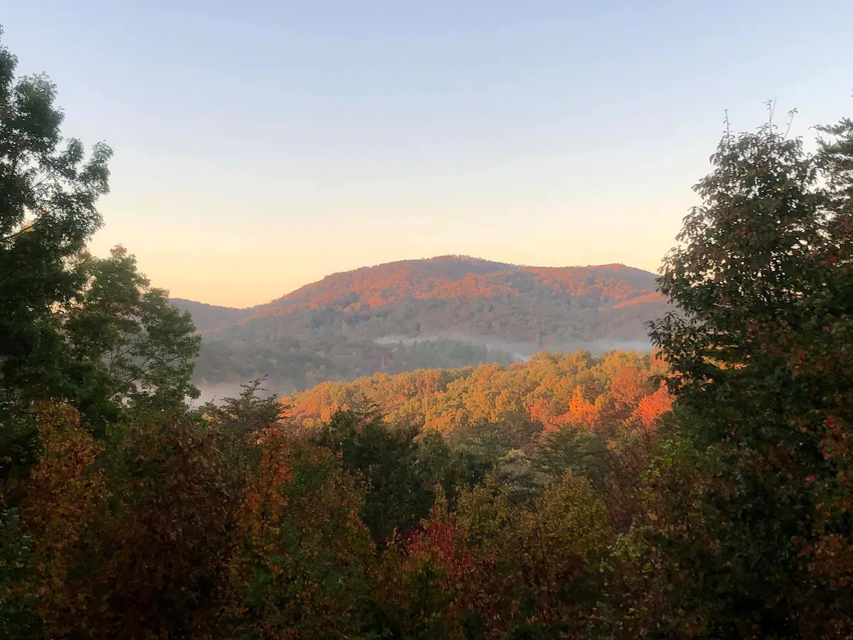 Shady Grove North | cabin rental | Cherry Log, GA, USA
