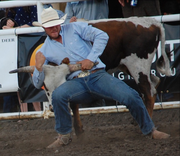 Guts And Gusto - Lea Park Rodeo