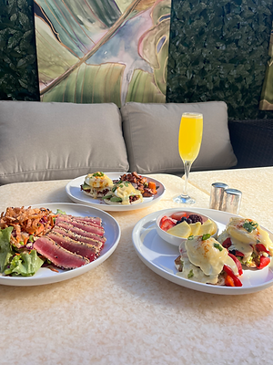 Contact Us | Brunch 101