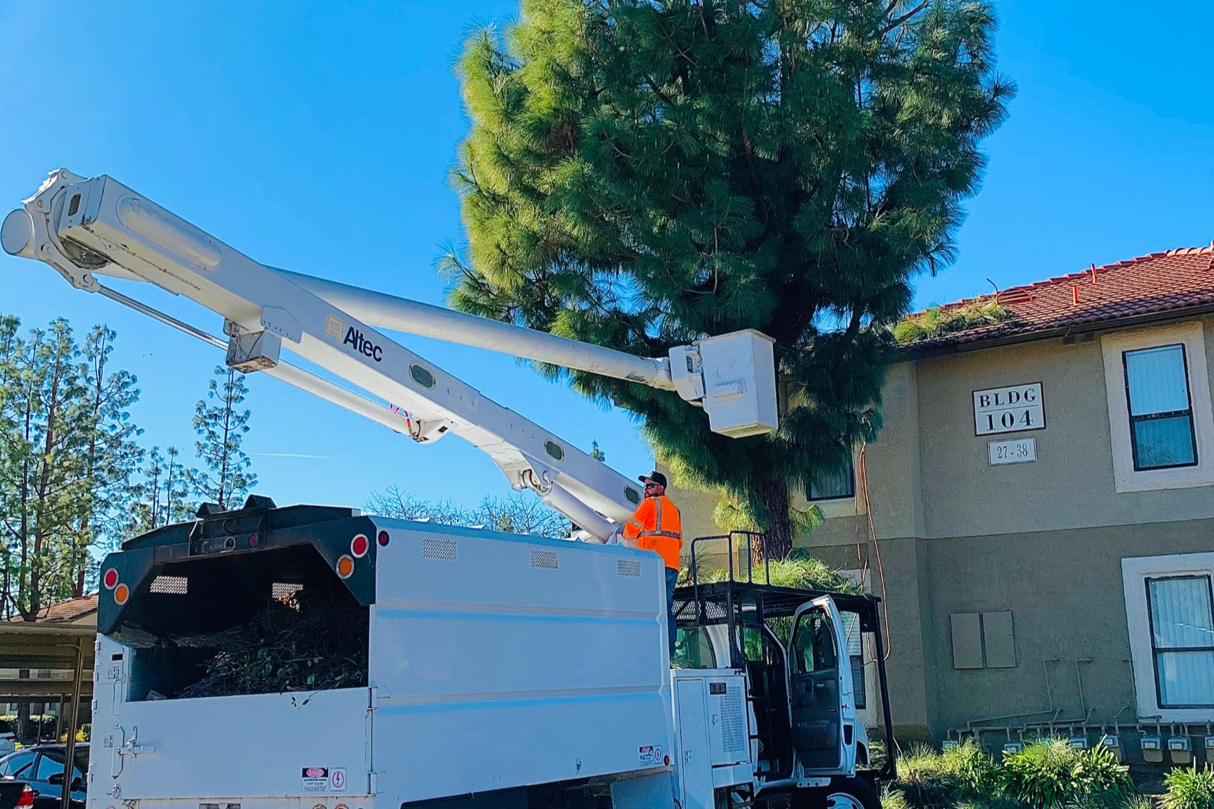 TNA Tree Care Services | Licensed & Insured