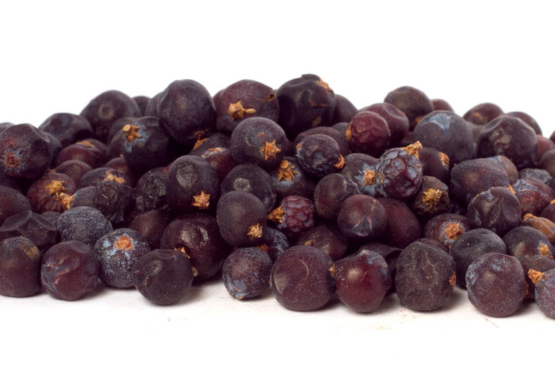 Single Origin Spice Juniper Berries use for detoxify body and food