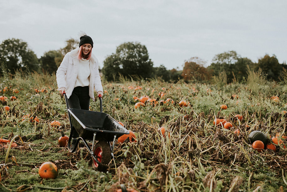 Kackleberry Farms | Fun Festivals & Family Fun | Monroe, MI
