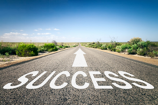 multiple pathways to success