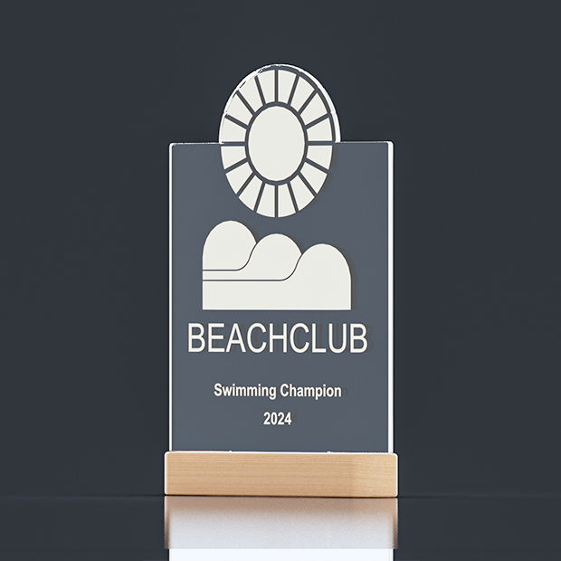Light Up Your Sales: Why LED Display Plaques Are a Must-Have for Your ...