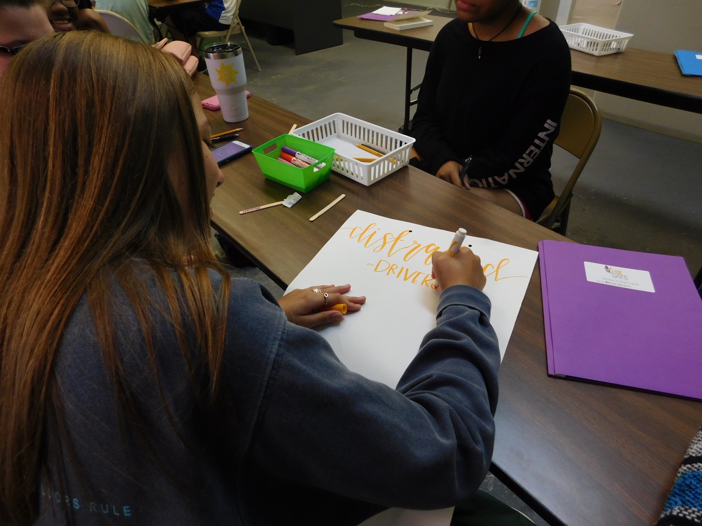 Home | Bee Safe Driving School Inc.