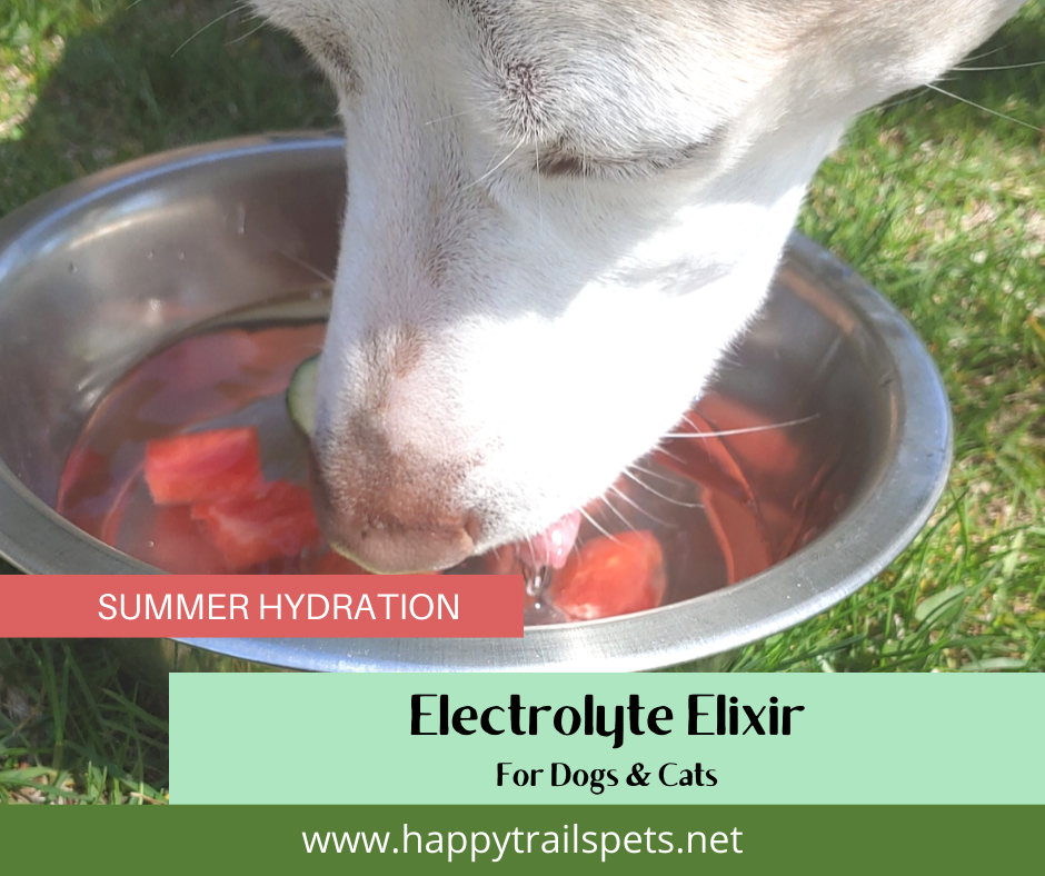 Summer Hydration Electrolyte Elixir Drink For Dogs & Cats!