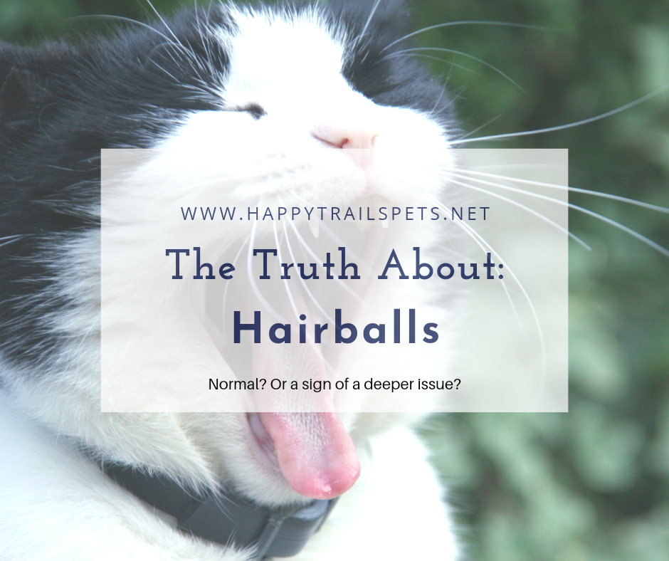 Why Do Cats Get Hairballs? Supporting Cat Health: Nutrition for Overall ...