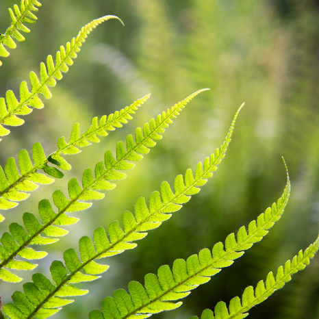 Courtney Victoria Portfolio