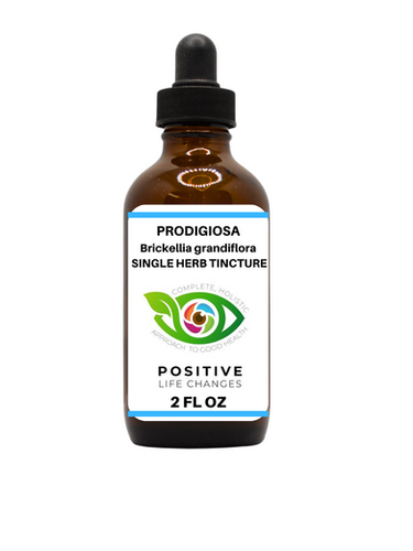 Prodigiosa Single Herb Tincture | Positive Life Change