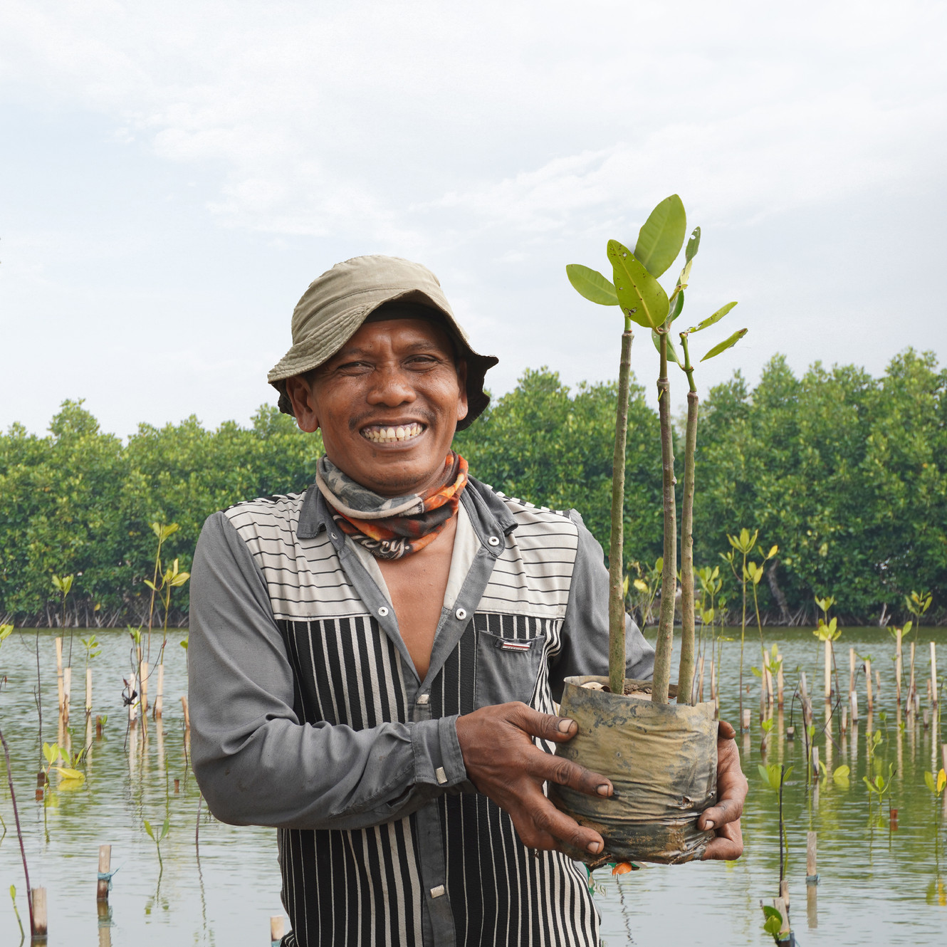 Carbonethics Your Climate Solution In Blue Carbon