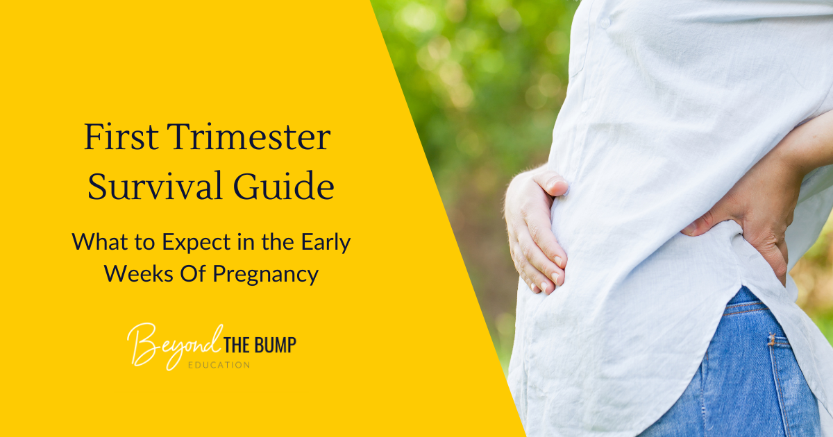 First Trimester Survival Guide. What to Expect in the Early Weeks Of ...