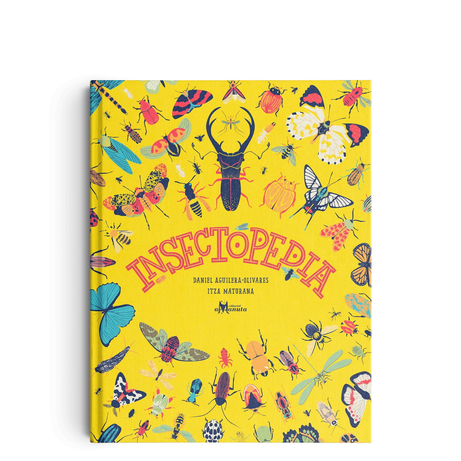 Insectopedia | Rincondecuentos