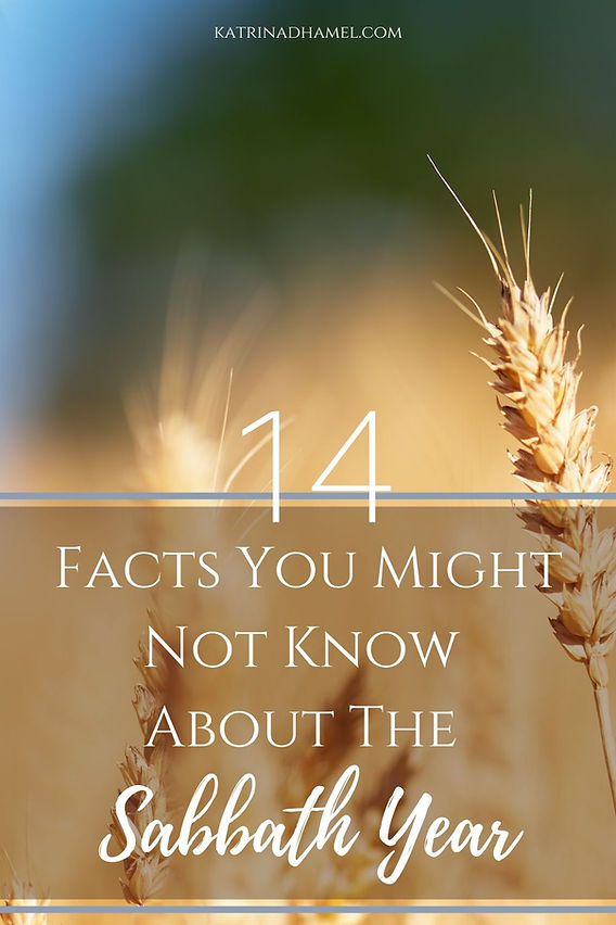 biblical sabbath rules