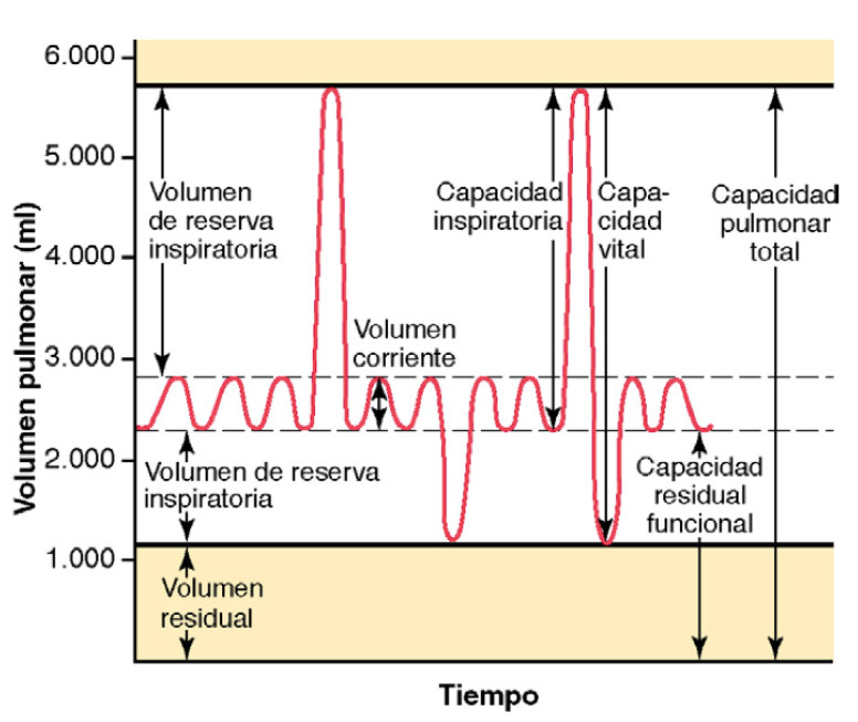 volumenes y capacidades pulmonares