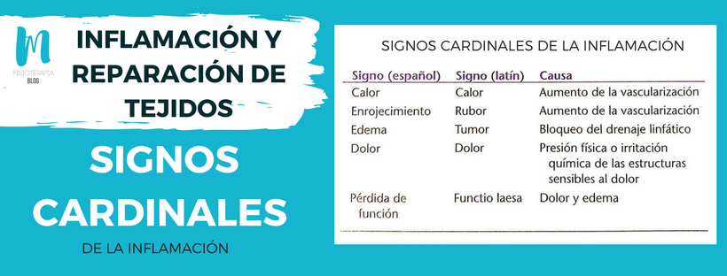 INFLAMACIÓN: FASE I DE 1 A 6 DÍAS