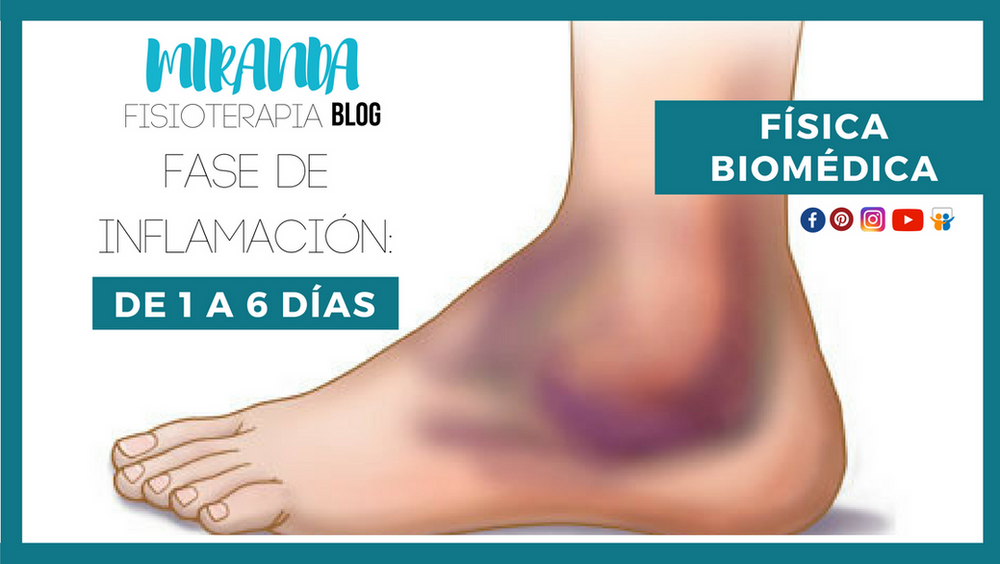 INFLAMACIÓN: FASE I DE 1 A 6 DÍAS