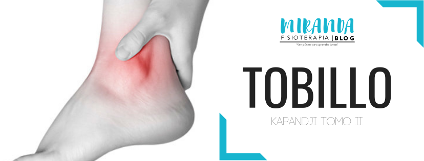 Tobillo | Biomecánica | Miranda Fisioterapia BLOG