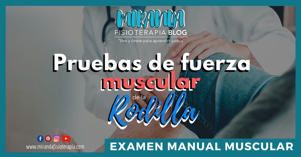 Examen Manual Muscular | Mirada Fisiterapia BLOG