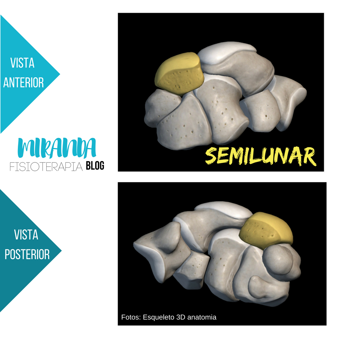 Semilunar Hueso