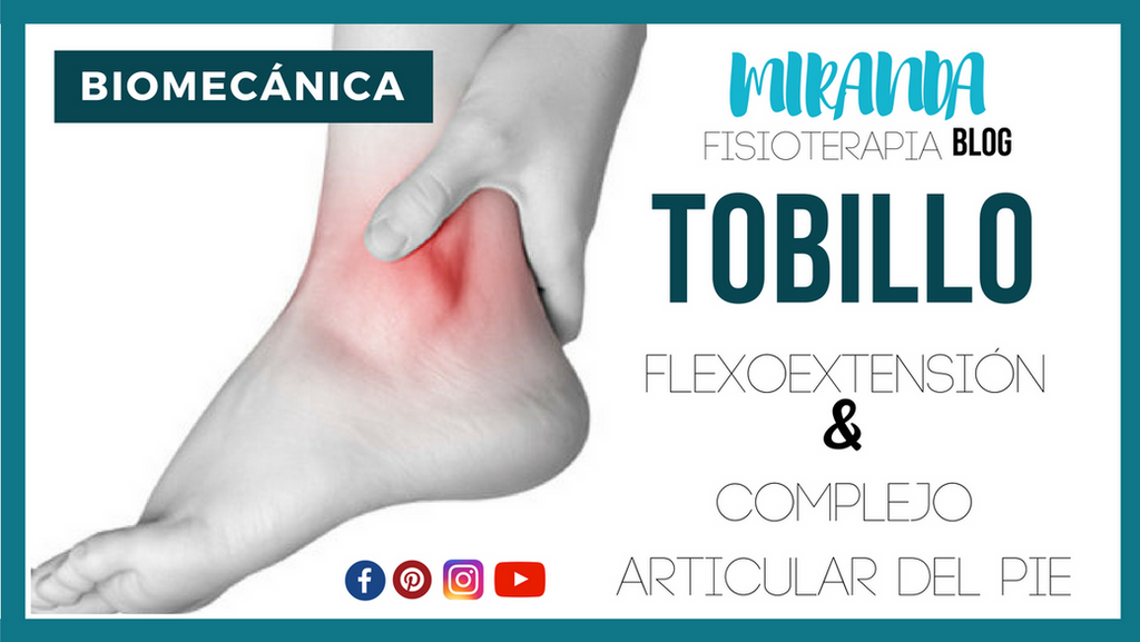 Tobillo | Biomecánica | Miranda Fisioterapia BLOG