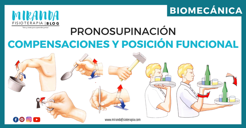 Prono-supinación | Biomecánica | Miranda Fisioterapia BLOG