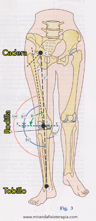 Ejes de la rodilla: Genu Valgo y Genu varo