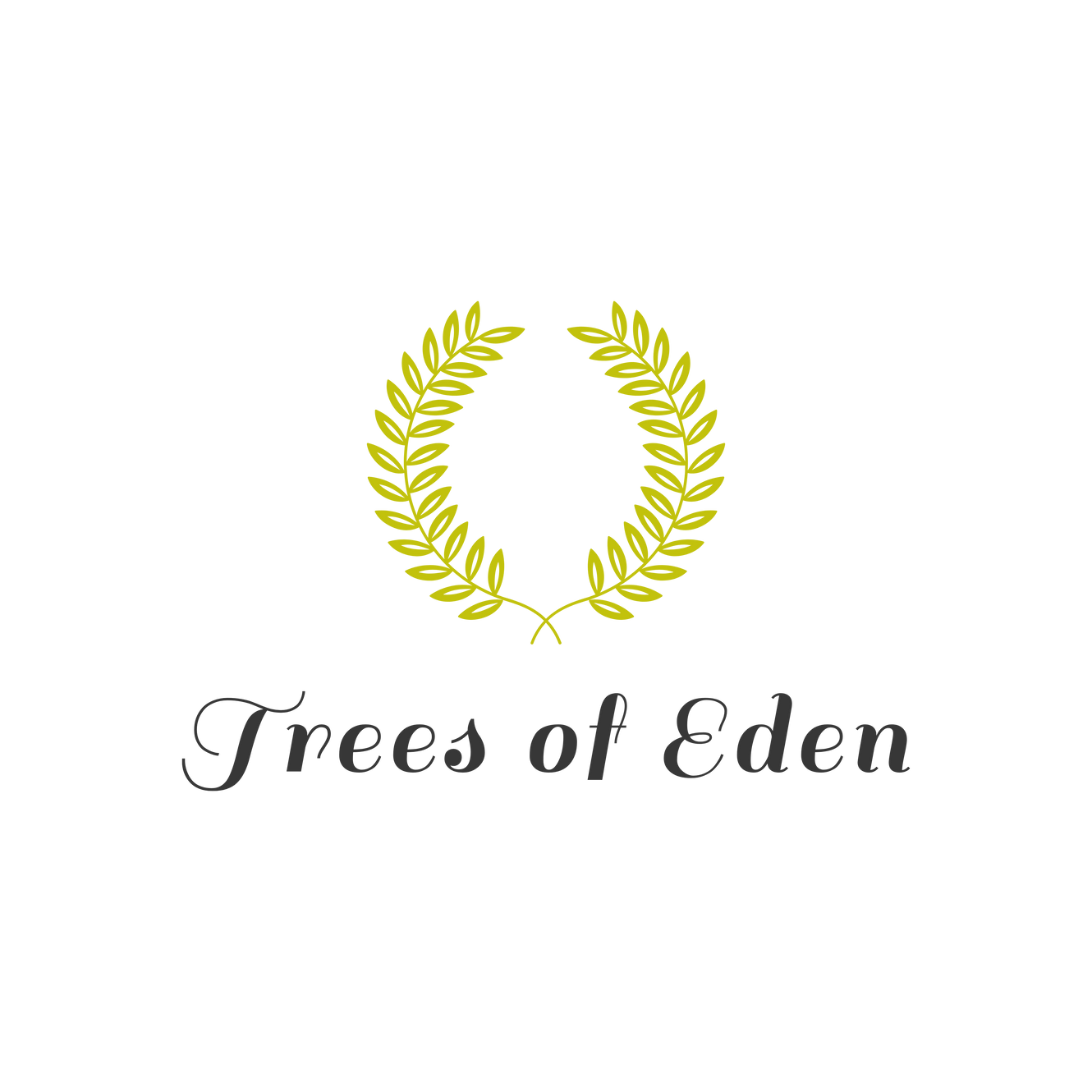 Trees of Eden | Olive Trees