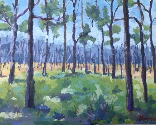 HOLLY SHELTER, 8 X 10 | Patrick Raynor Fine