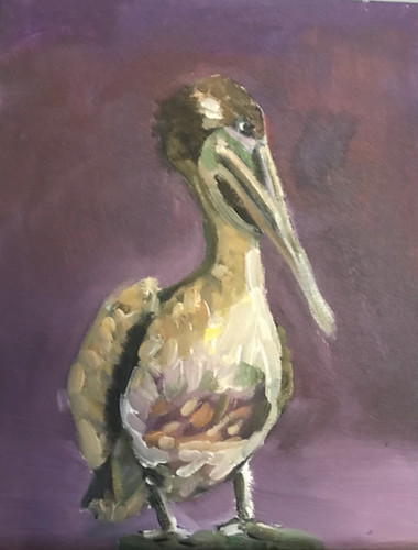 PELICAN, 14 X 11 | Patrick Raynor Fine