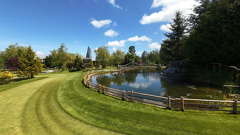 Mini Meadows | Savage Creek