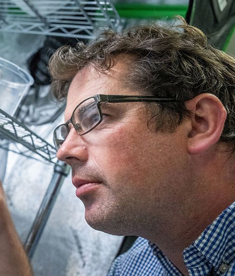 Research and Extension | Wild Blueberry Commission of Maine