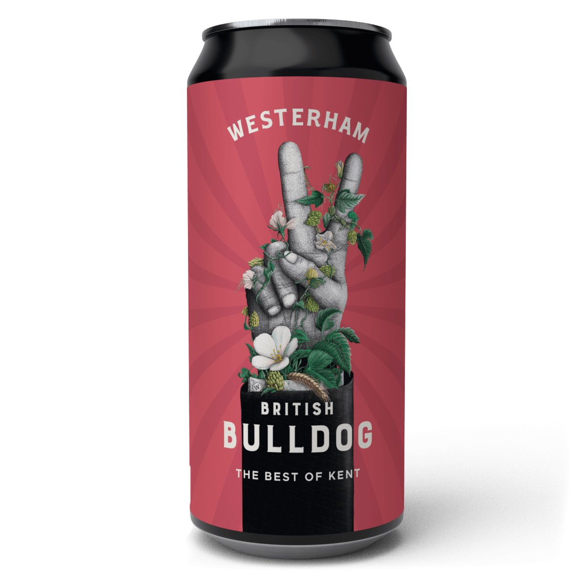 Bitter | Hops and Hampers