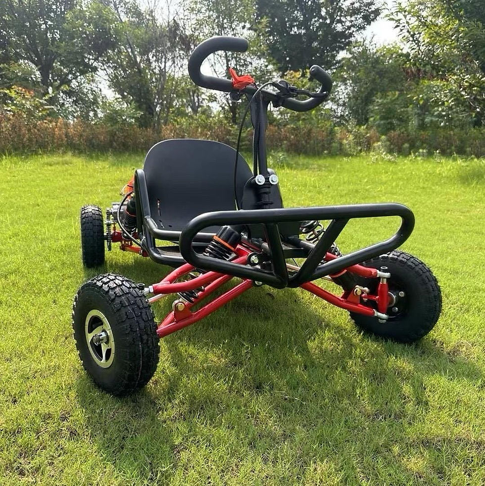 Off Road Go Kart Powerful Two-Stroke Gasoline Engine Kart for Adventure ...