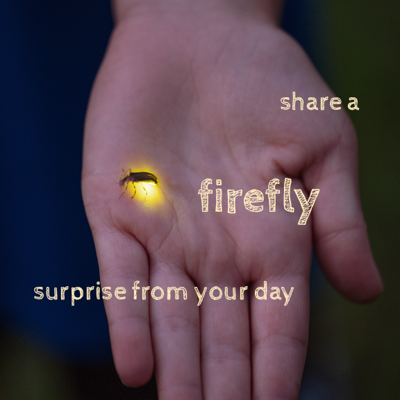 Firefly Prayers