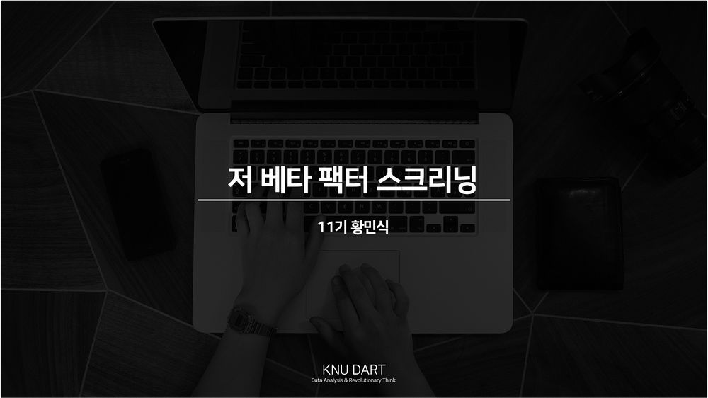 (20222 개인 모의투자) 저 베타 팩터 스크리닝 | KNU DART