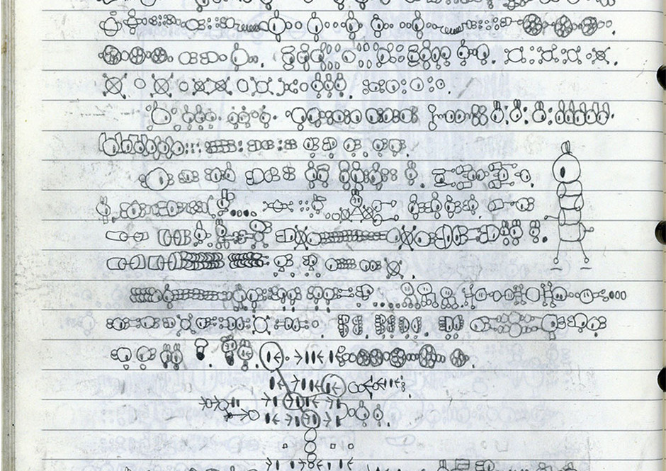 Tokki Code | Wink Tokki