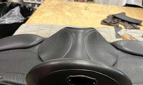 Saddle Fitting Appointments | Topline Saddlery