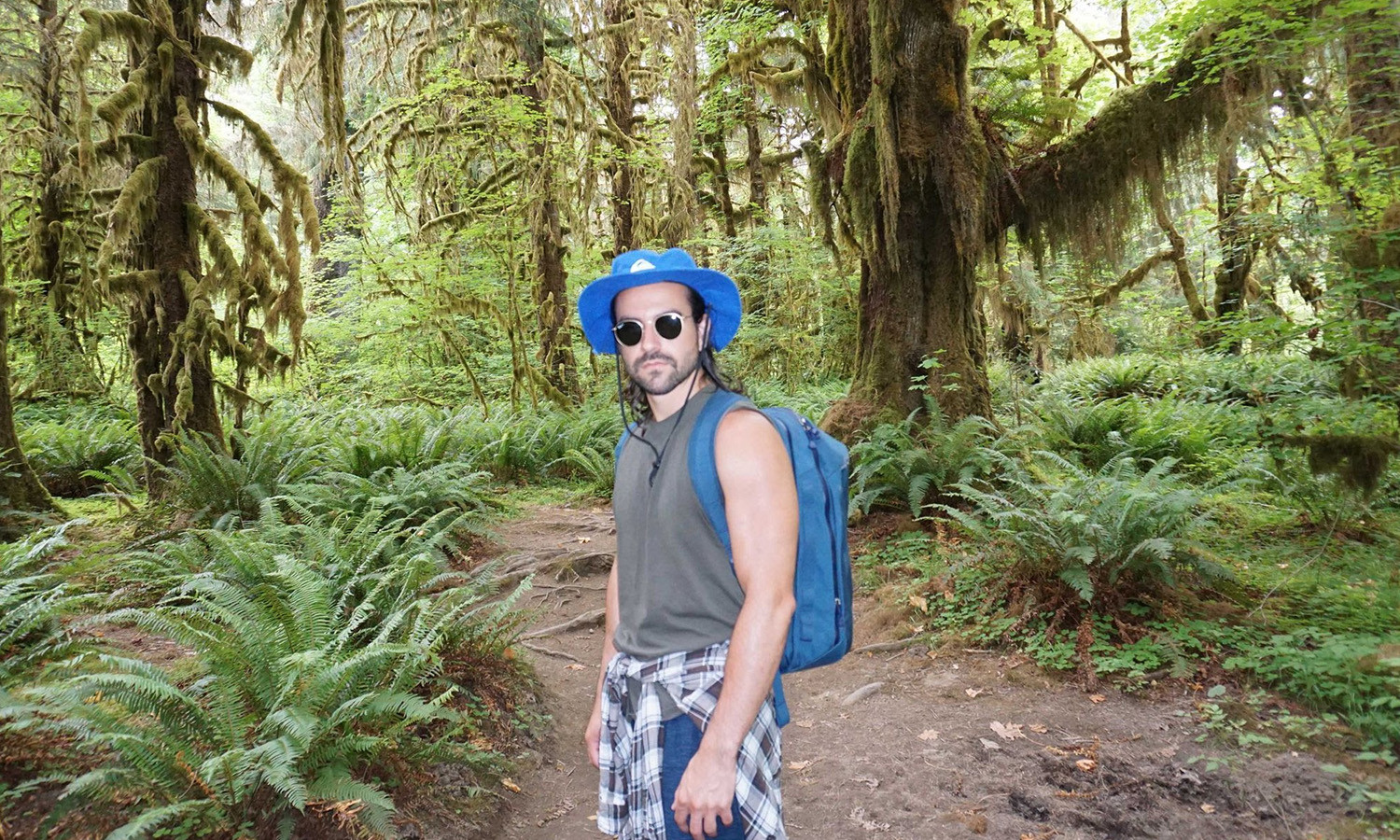 Come inside Washington's best (and magical) rainforest