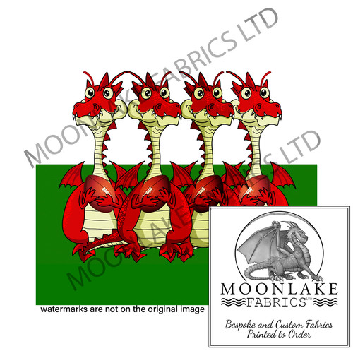 Rugby Dragons Front Row | Moonlake Fabrics Ltd