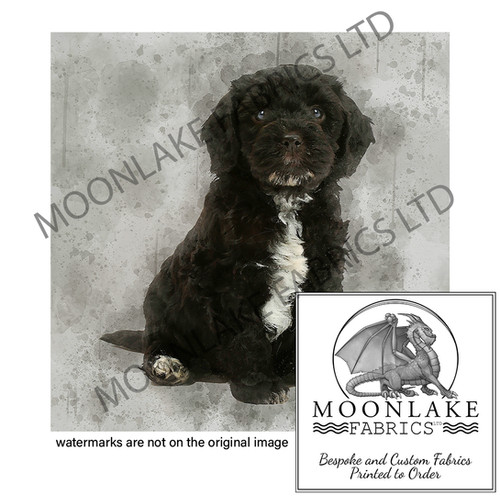 Black Cockapoo | Moonlake Fabrics Ltd