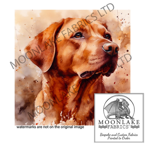 Red Fox Labrador looking Right | Moonlake Fabrics Ltd